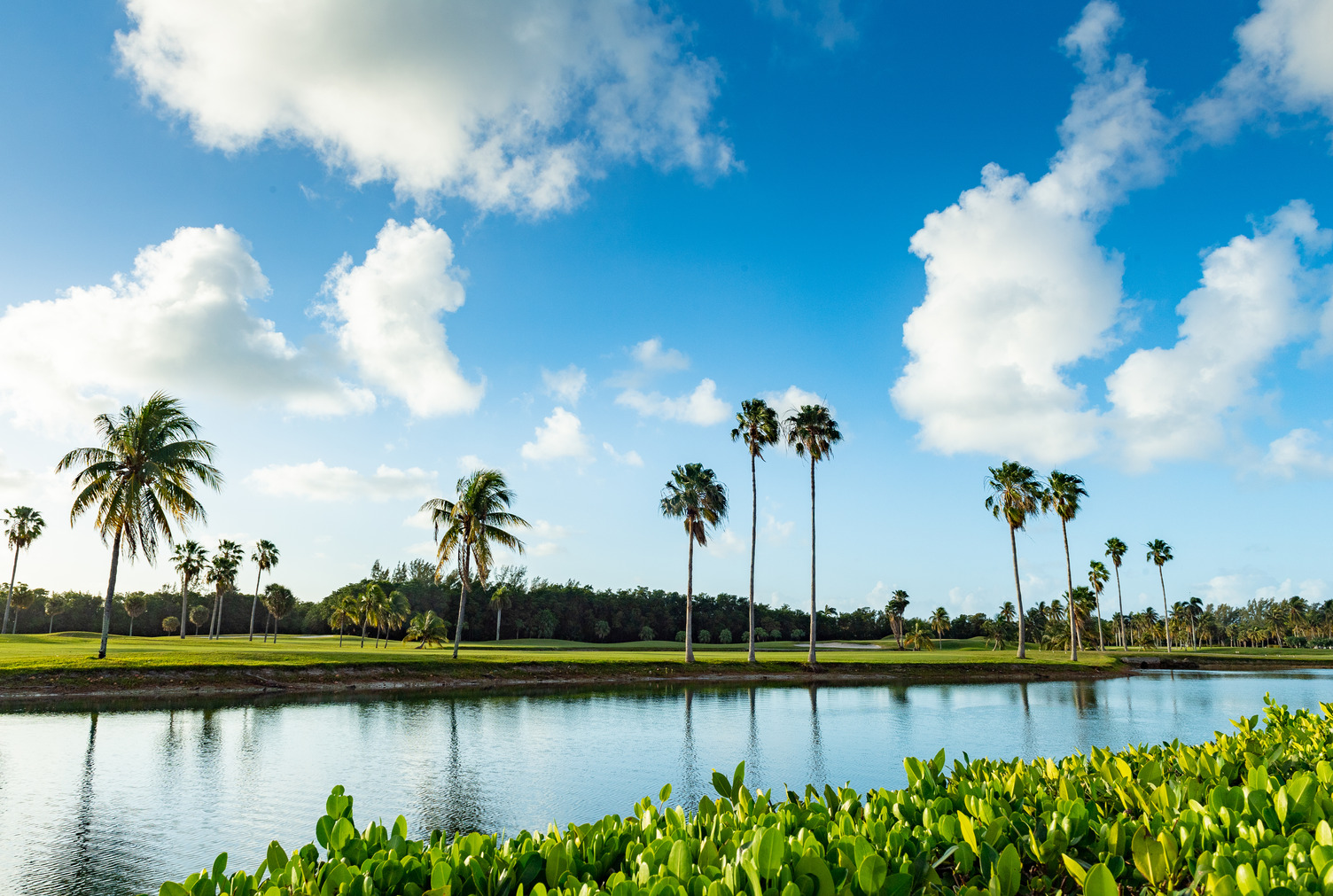Home - Crandon Golf at Key Biscayne